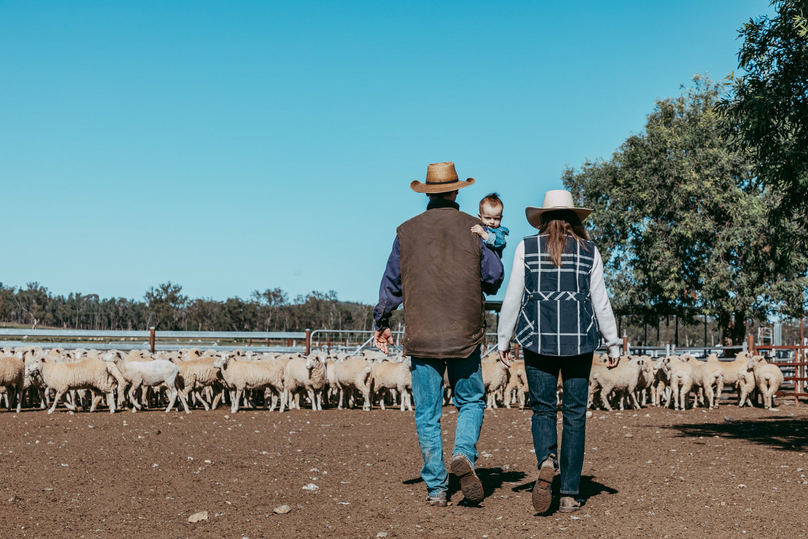 In the Press – Goondiwindi Cotton